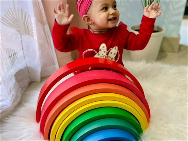 Exploring the World of Rainbow Toys | WoodBee Toys